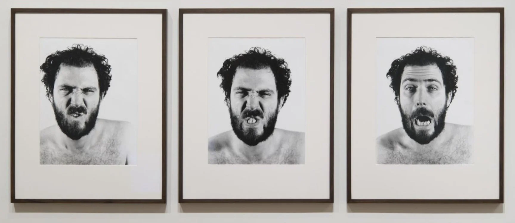 Self Portraits — Alan Sonfist