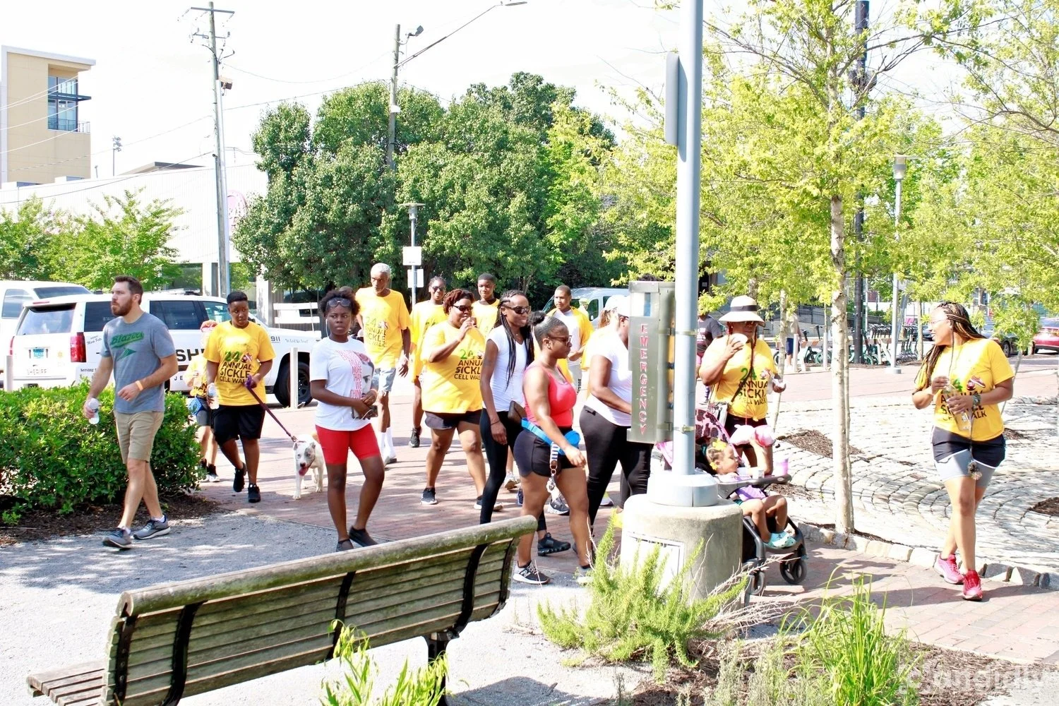25th Annual Sickle Cell Walk — Sickle Cell Disease Association of ...