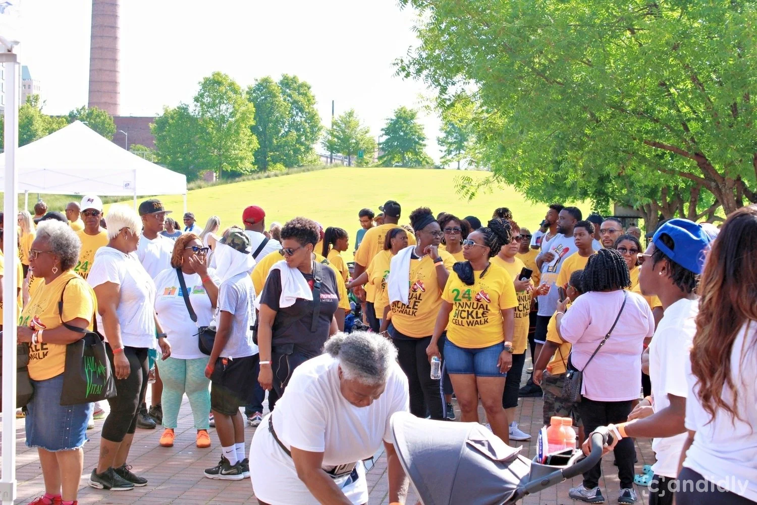 Events — Sickle Cell Disease Association of America - Central AL