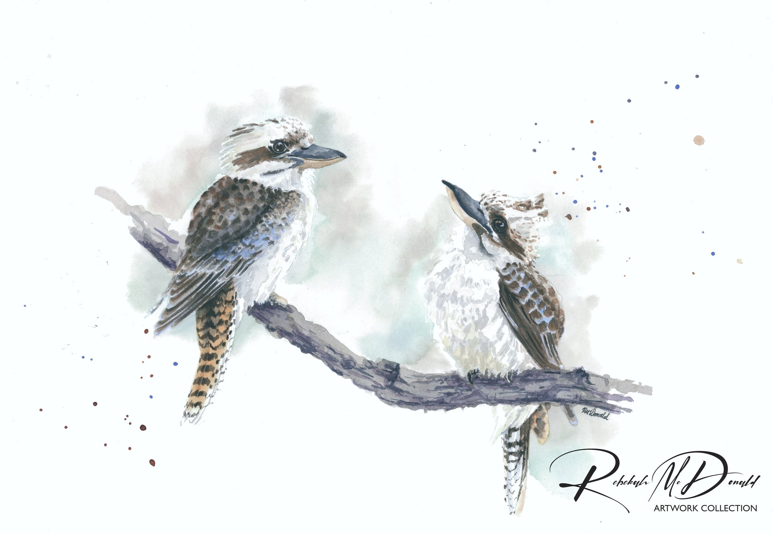 Bird Collection — Rebekah McDonald Art