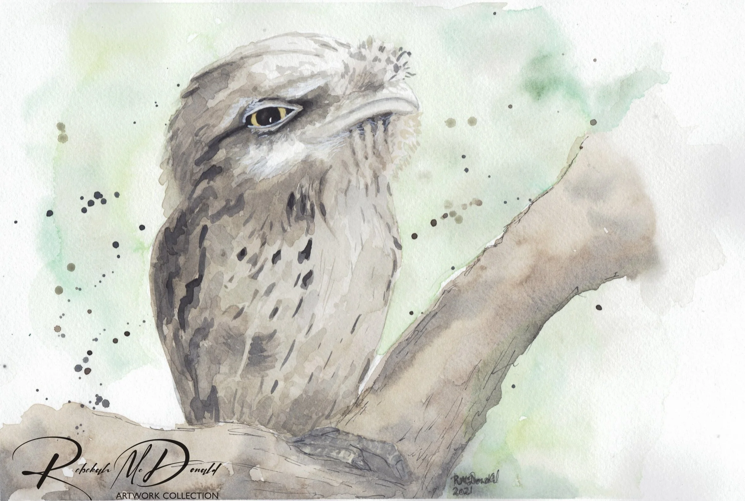 Bird Collection — Rebekah McDonald Art