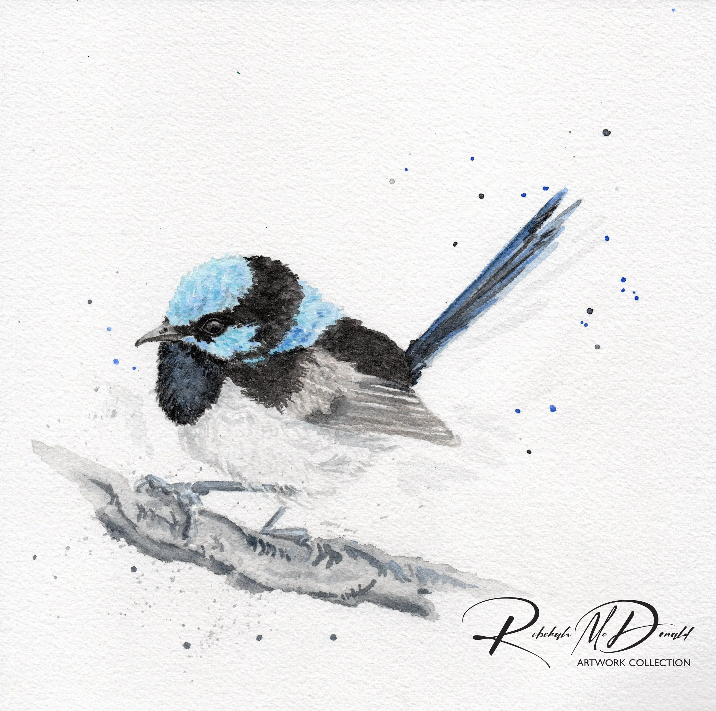 Bird Collection — Rebekah McDonald Art