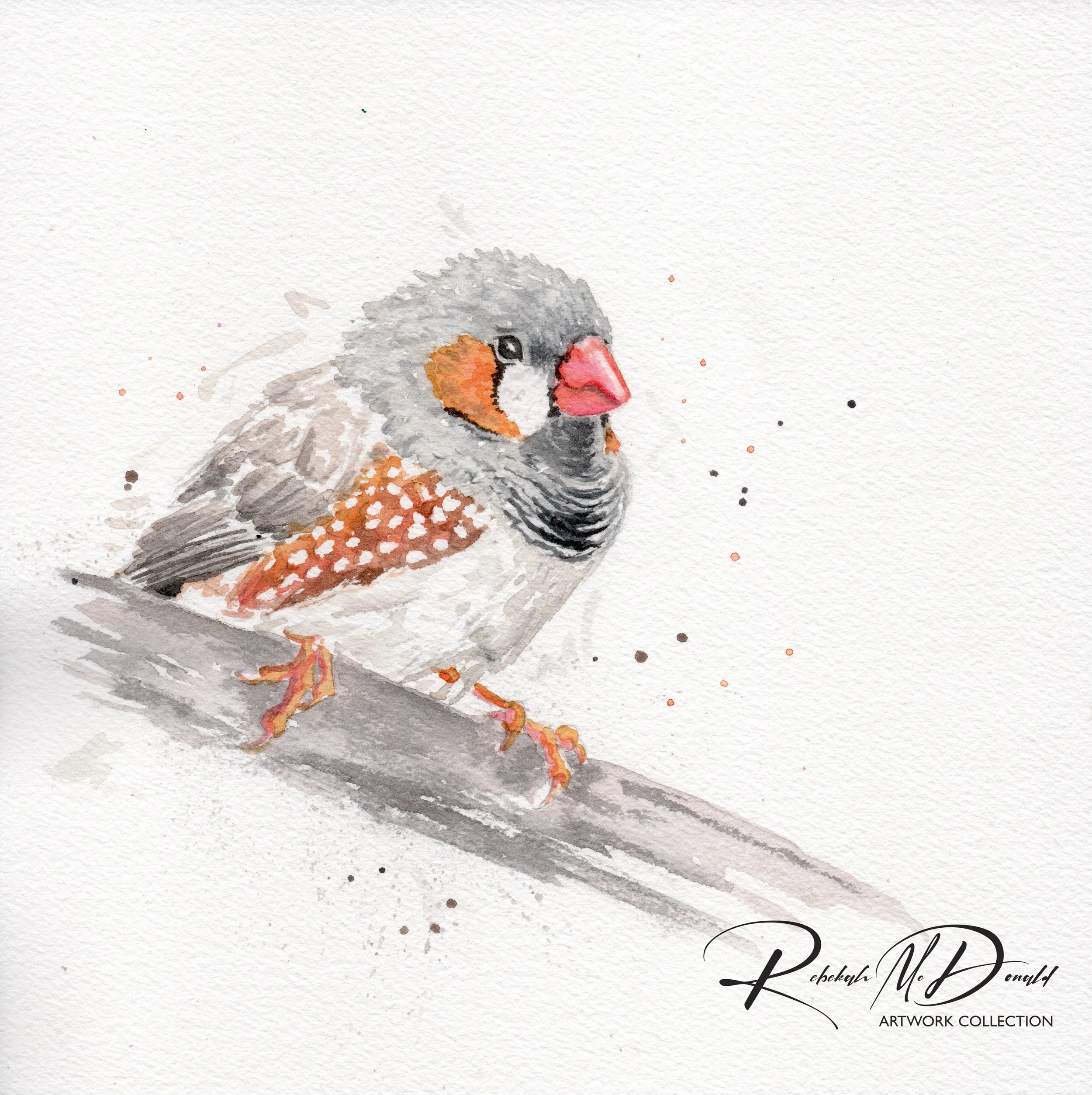 Bird Collection — Rebekah McDonald Art