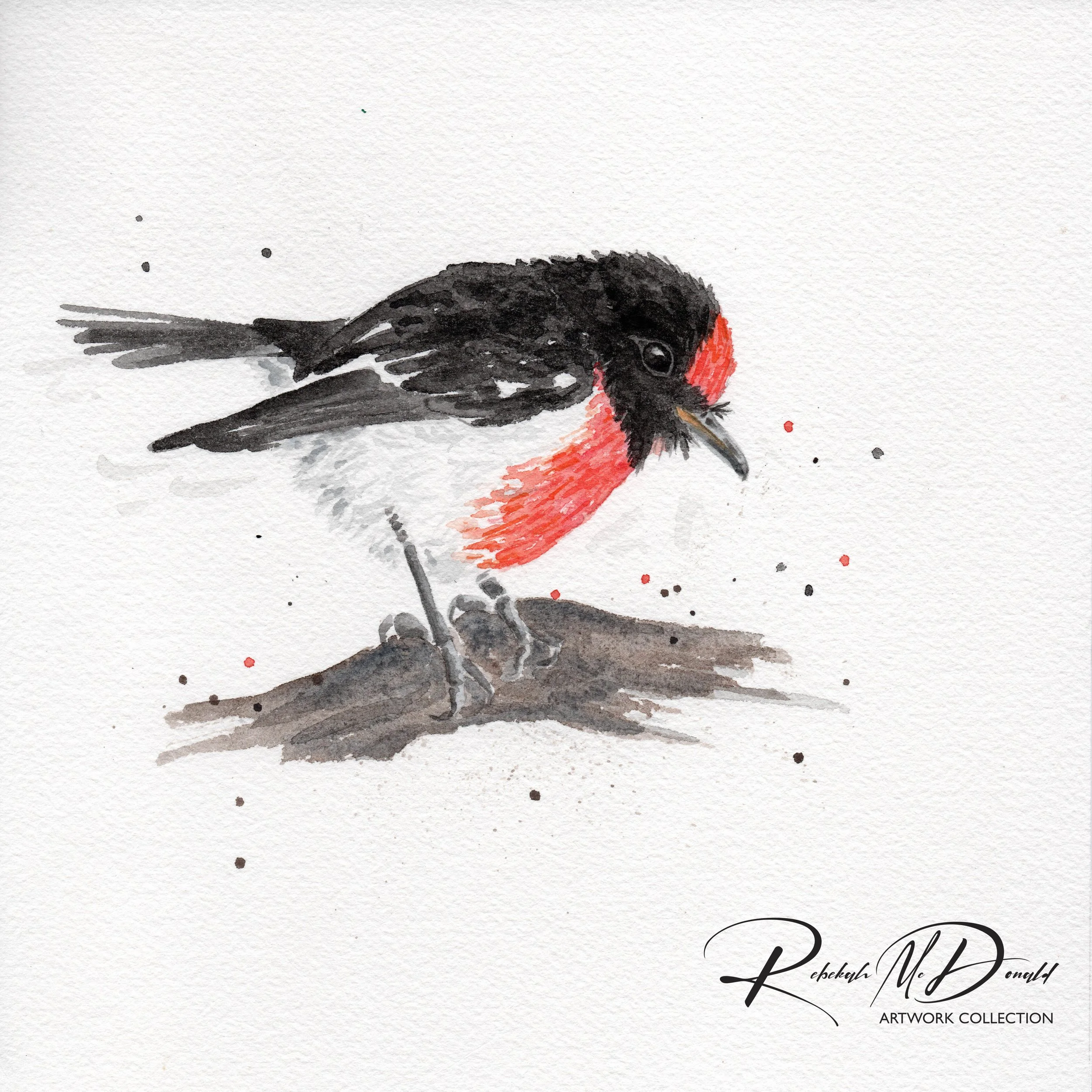 Bird Collection — Rebekah McDonald Art