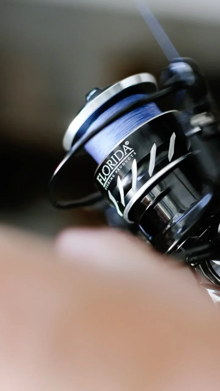 BlackBird Guide Services - Wilmington Fishing Charter