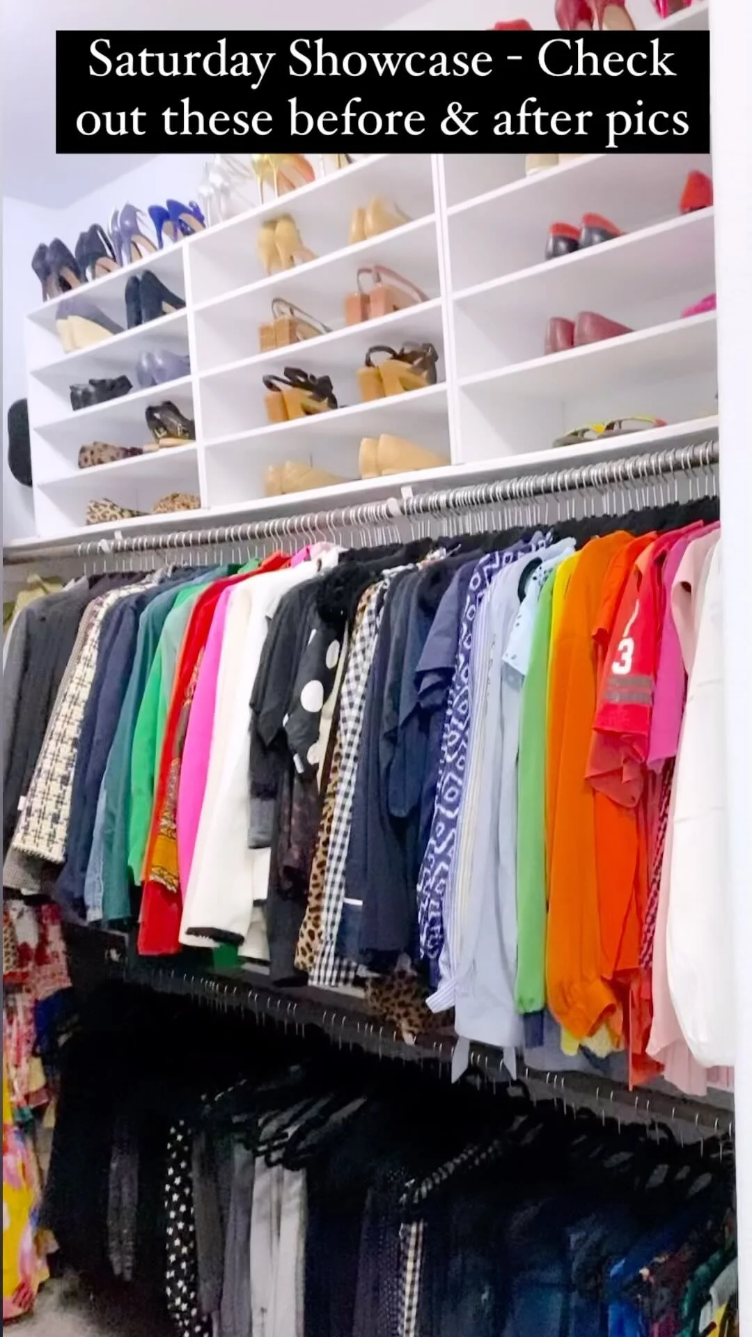 Professional Organizer