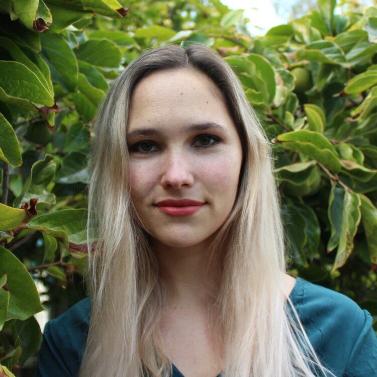 Therapists — Alchemy Community Therapy Center