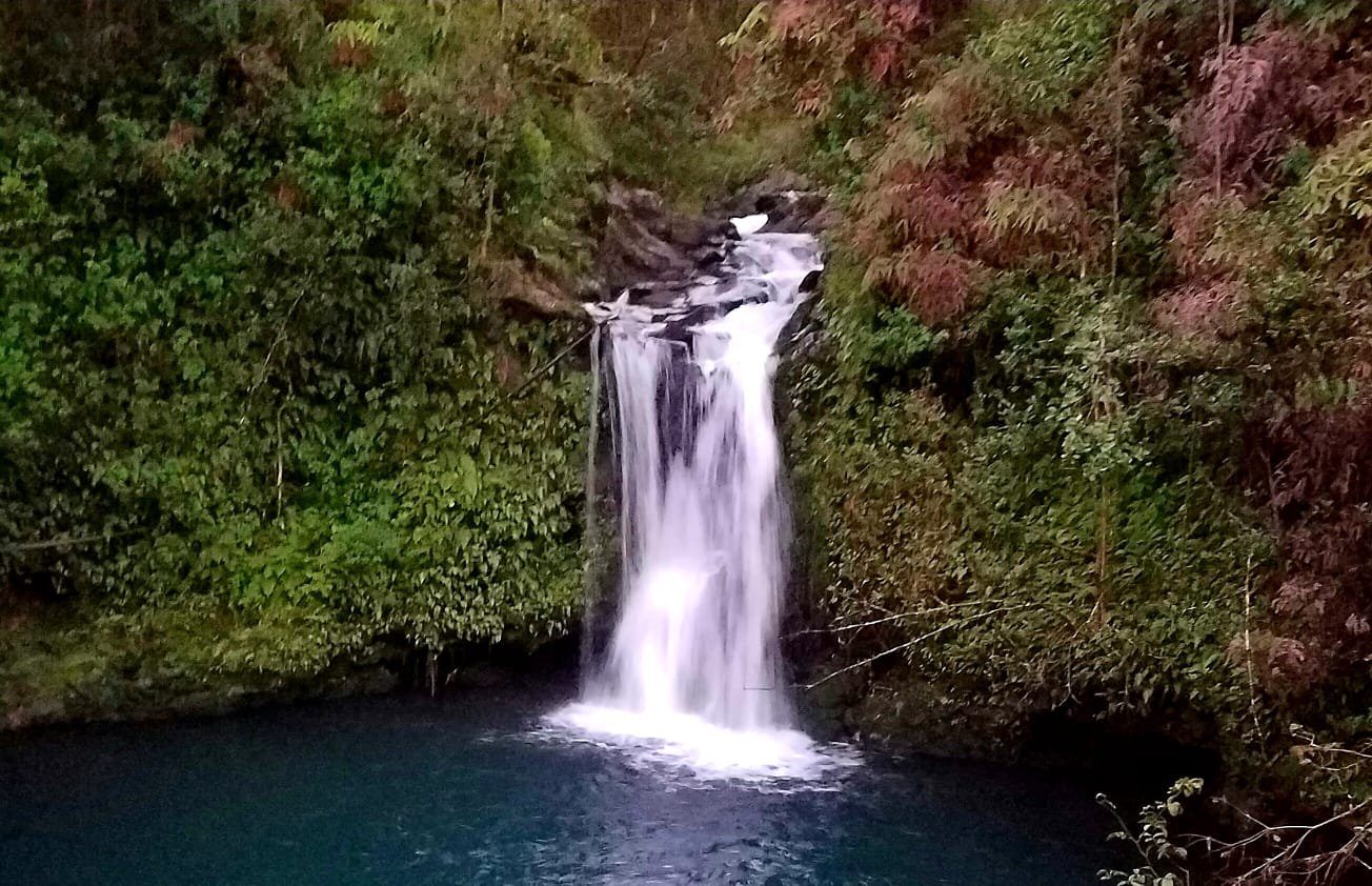 A Maui Experience | XMX Hawaii