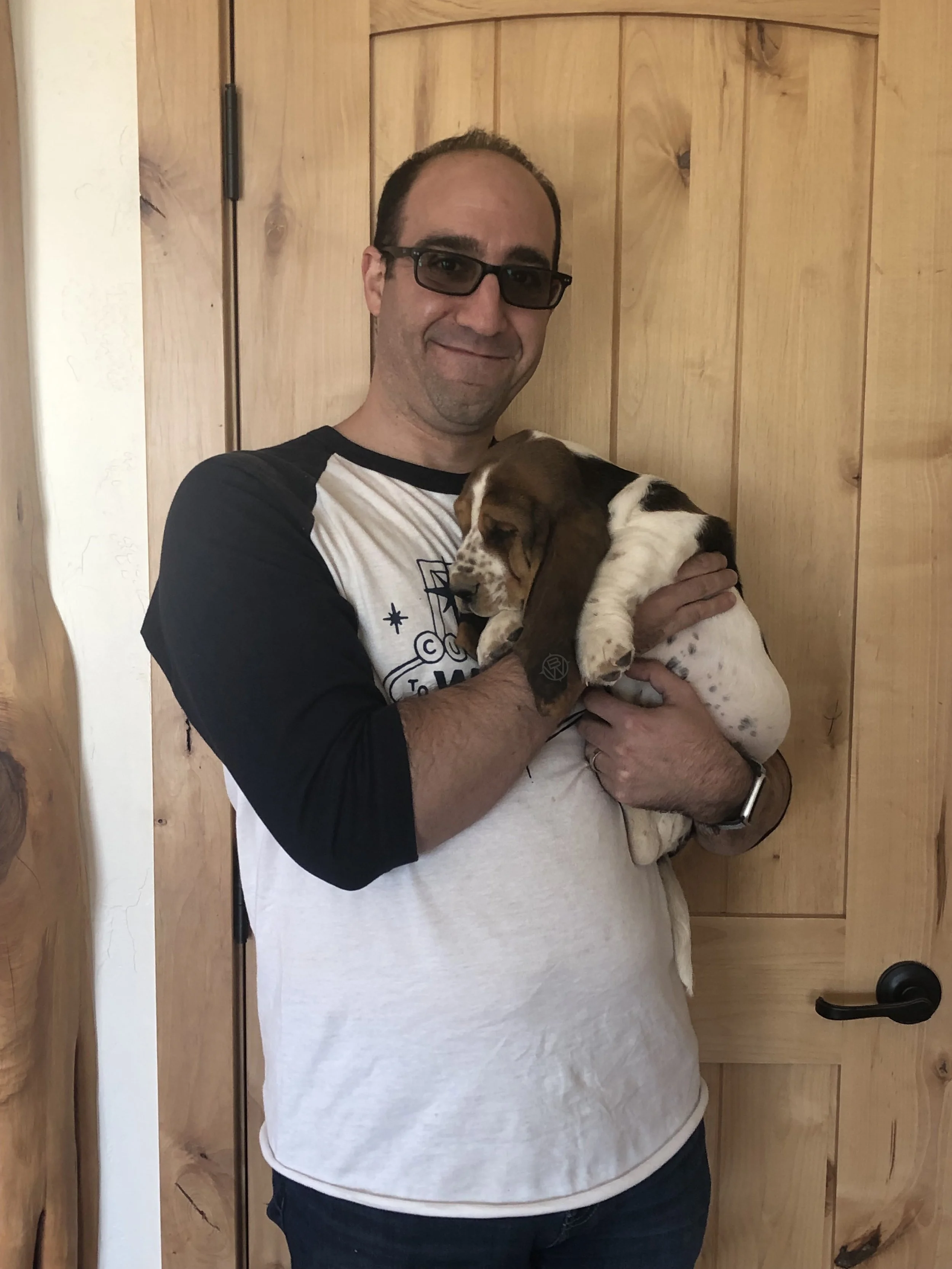 Basset Hound Puppies In Arizona — Out West Bassets