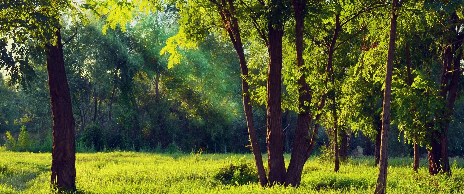 Green Consulting & CSR — PRODUCTION CONCEPT