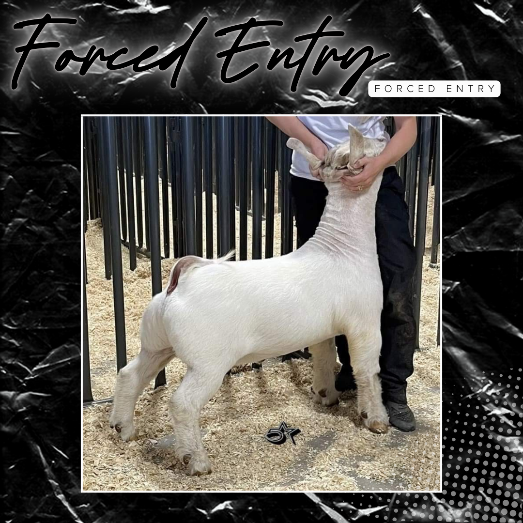 Semen Tank — 5 Star Boer Goats