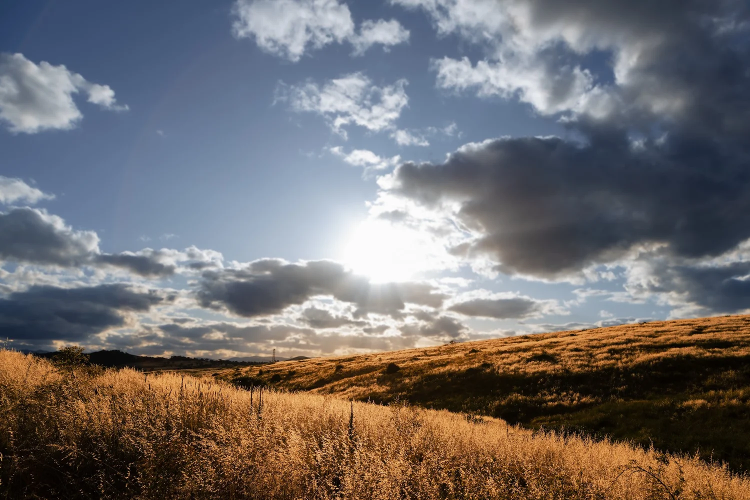 Contact 2 — PSYXIA