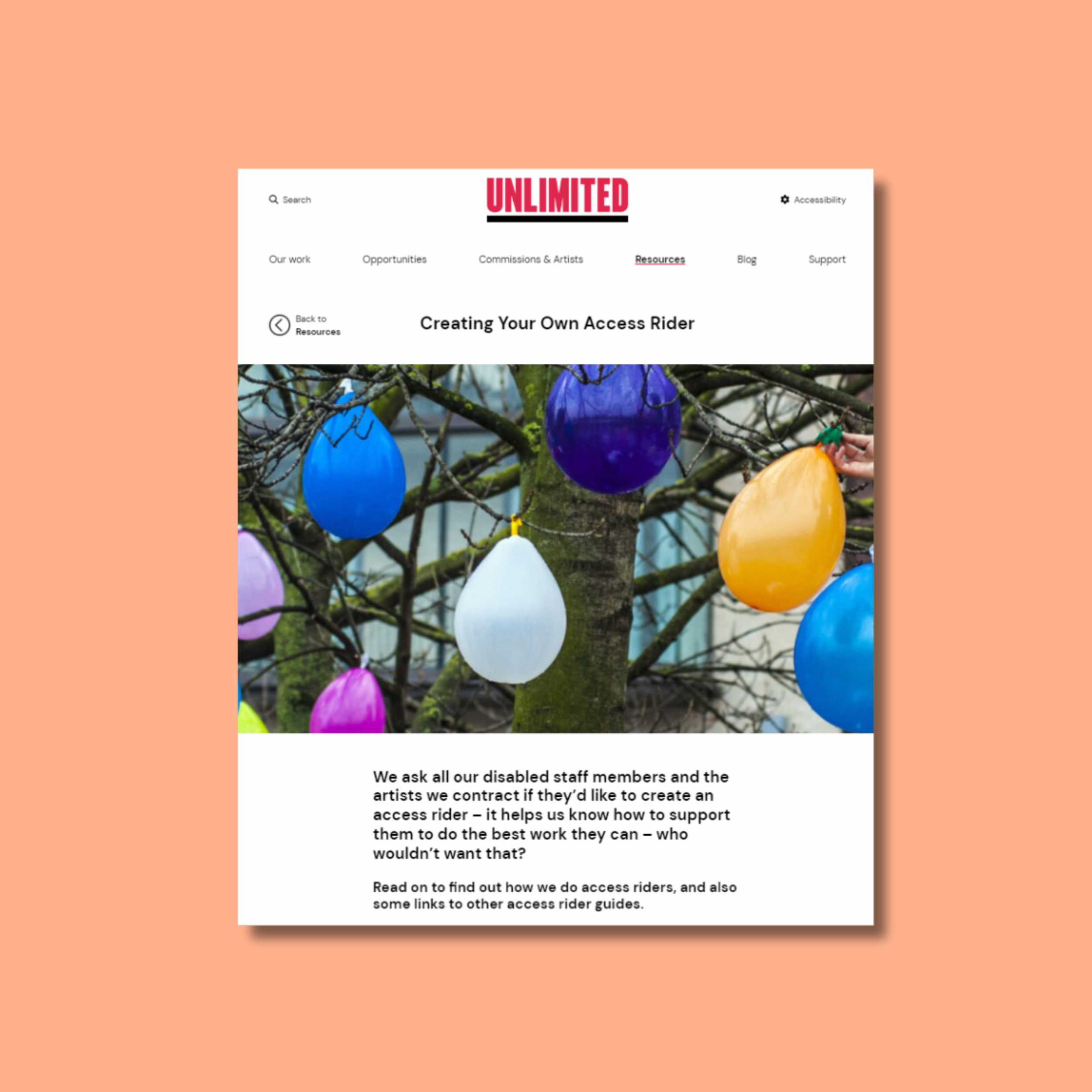 Creating Your Own Access Rider — Neurodiverse Connection