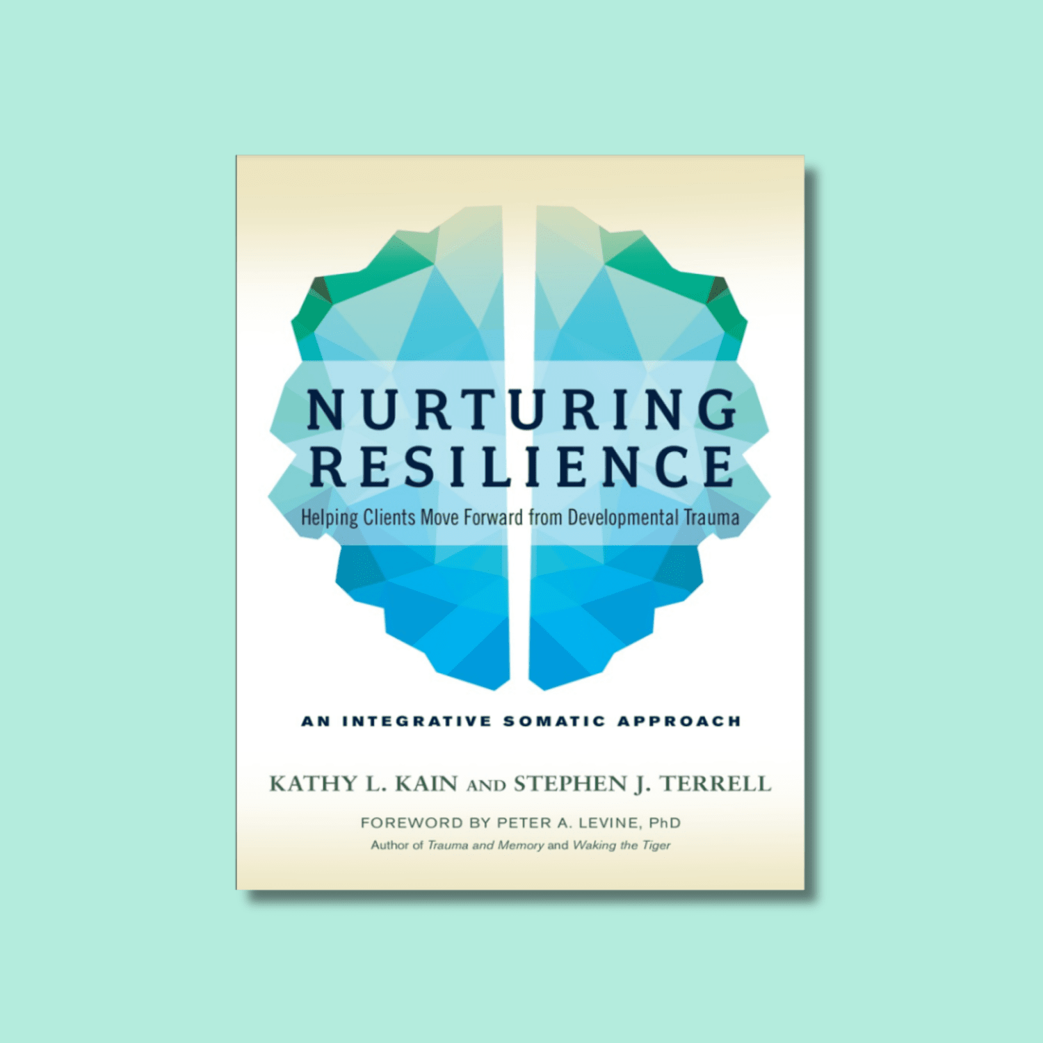 Autistic SPACE: A Novel Framework for Meeting the Needs of Autistic ...