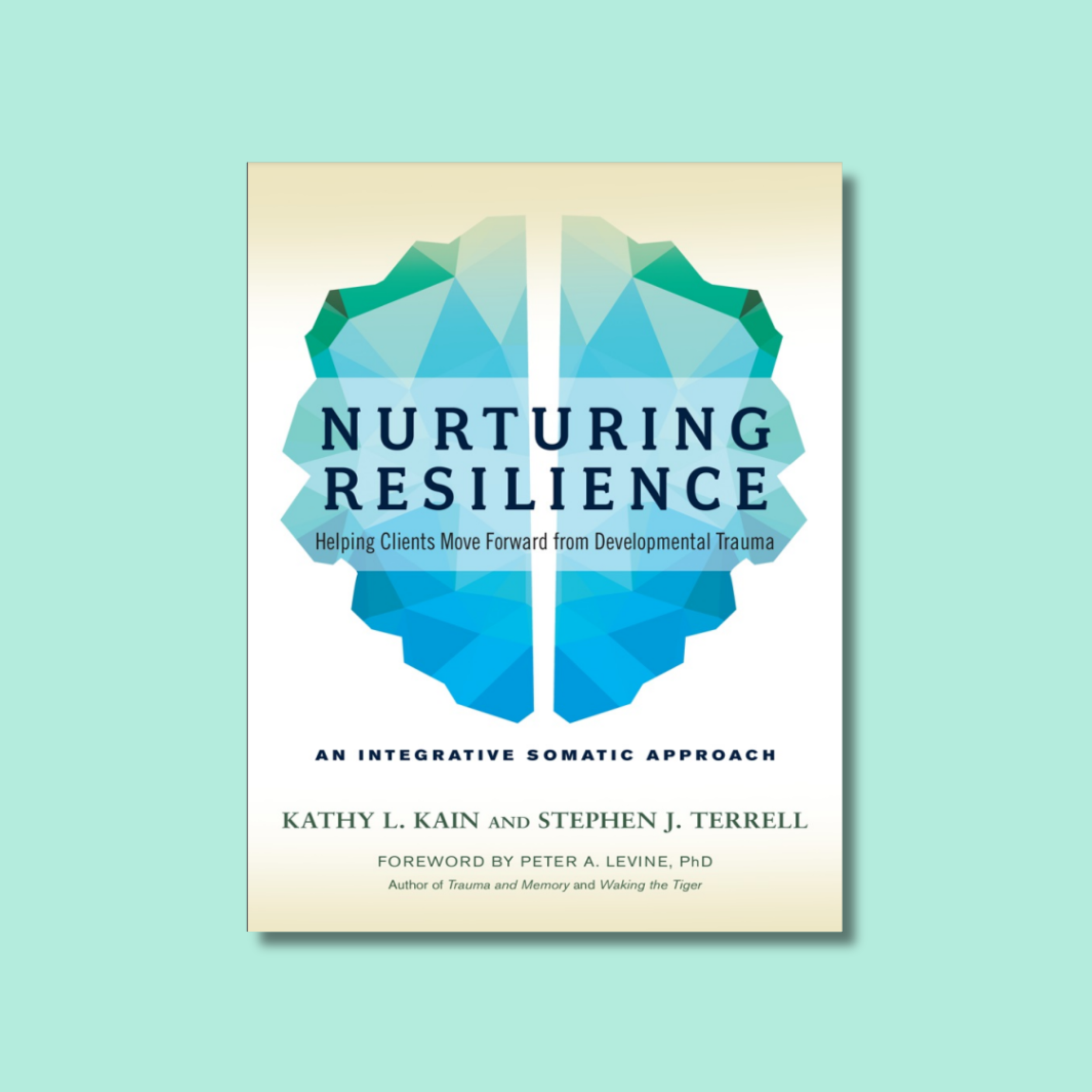 Autistic SPACE: A Novel Framework for Meeting the Needs of Autistic ...