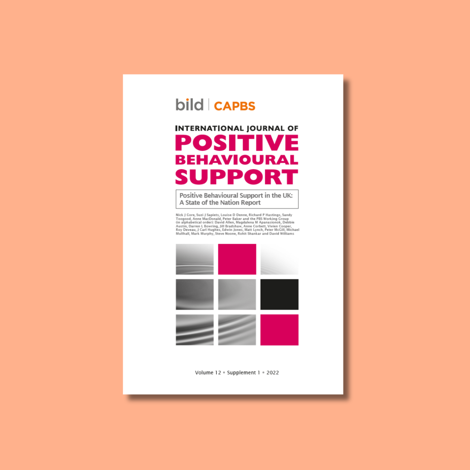 On 'Positive Behaviour Support' — Neurodiverse Connection
