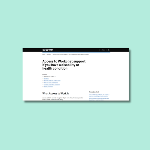 Creating Your Own Access Rider — Neurodiverse Connection