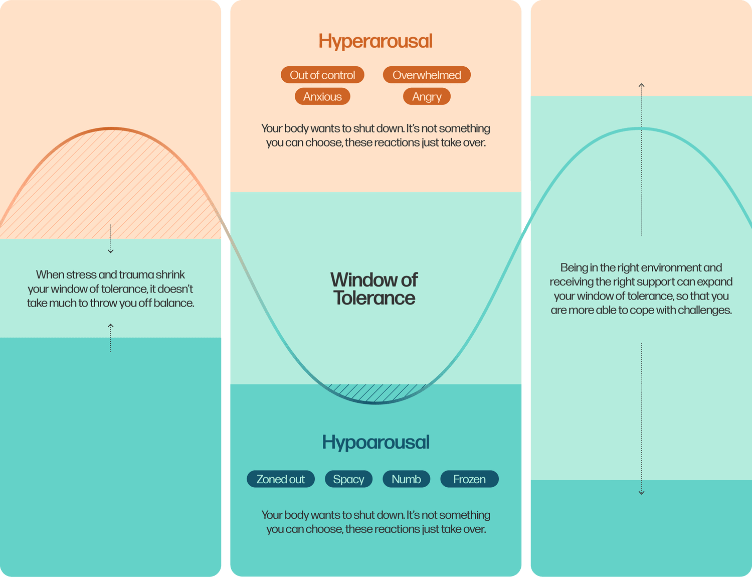 Creating Neurodivergent-affirming organisations — Neurodiverse Connection