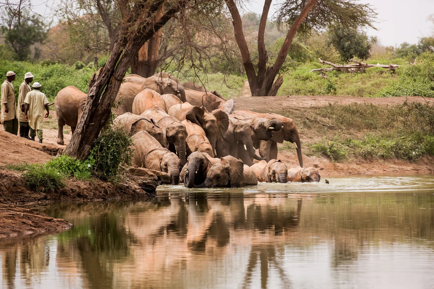 Ithumba Camp — Sheldrick Wildlife Trust Eco Lodges