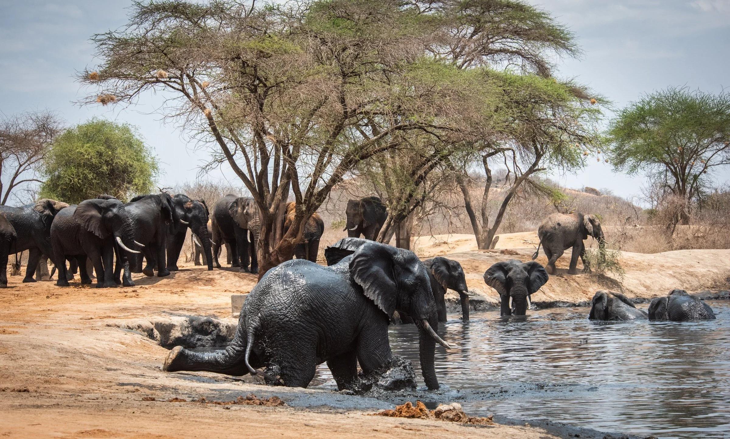 Ithumba Camp — Sheldrick Wildlife Trust Eco Lodges