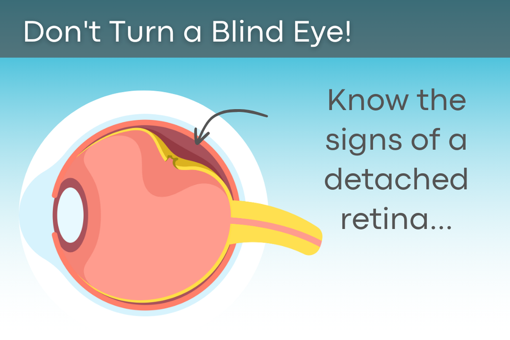 Know the signs of a Detached Retina — Blink Opticians, Bridge of Allan