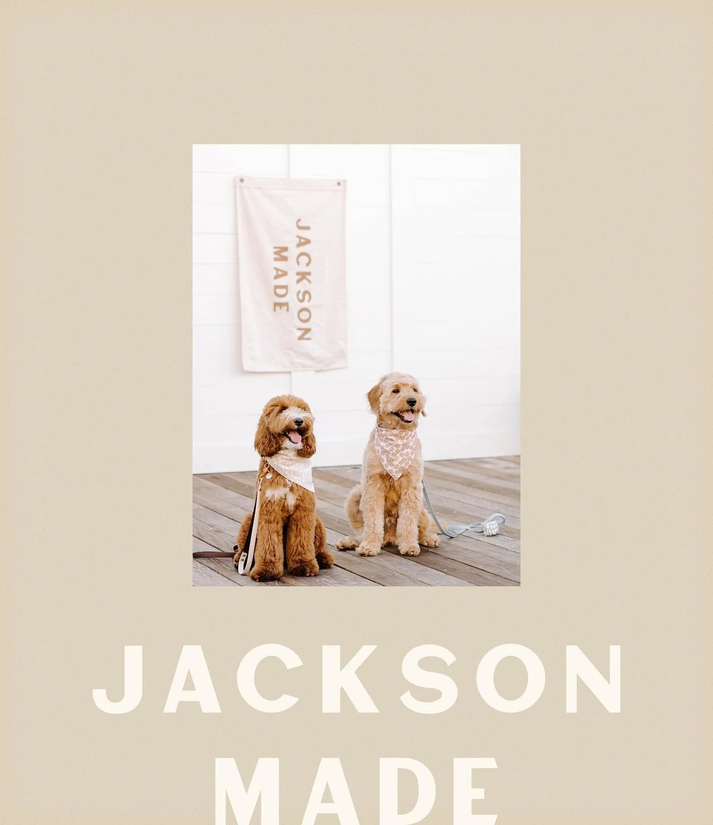 Brighten Made® | Custom Brand & Web Design Studio