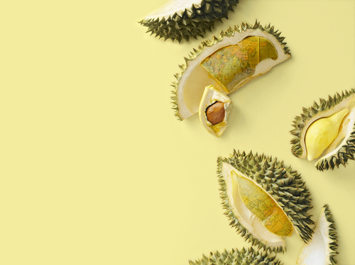 About | The Purple Durian