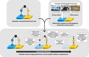 New Research Reveals How Human Impacts Are Rewiring Nature’s Food Webs ...
