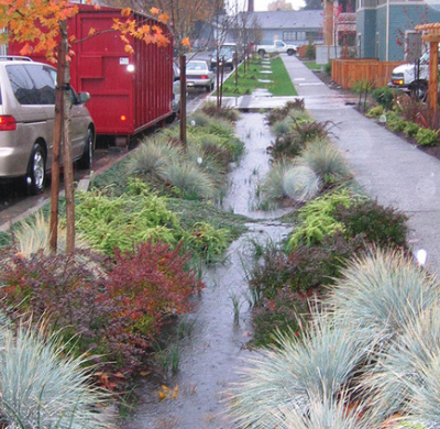 Prevent Flooding with the Right Plants + Natural Systems — Toftegaard ...