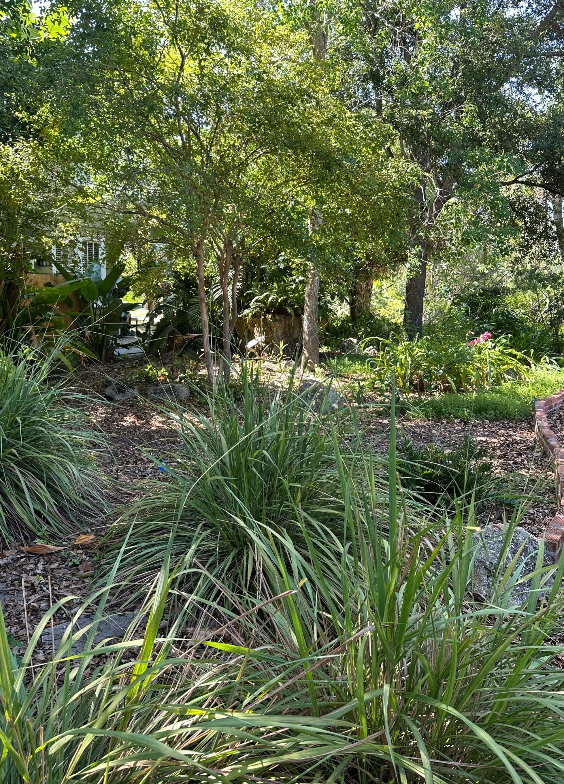 Reviving a Residential Ecosystem with Regenerative Practices — St ...