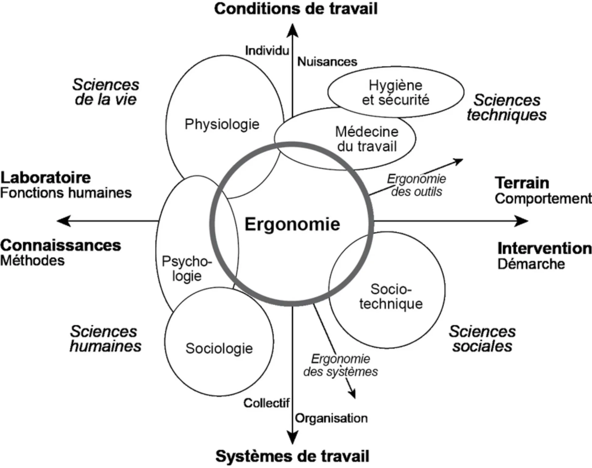 L’ergonomie cognitive ou physique ? — Romain Morvan Ergonomie