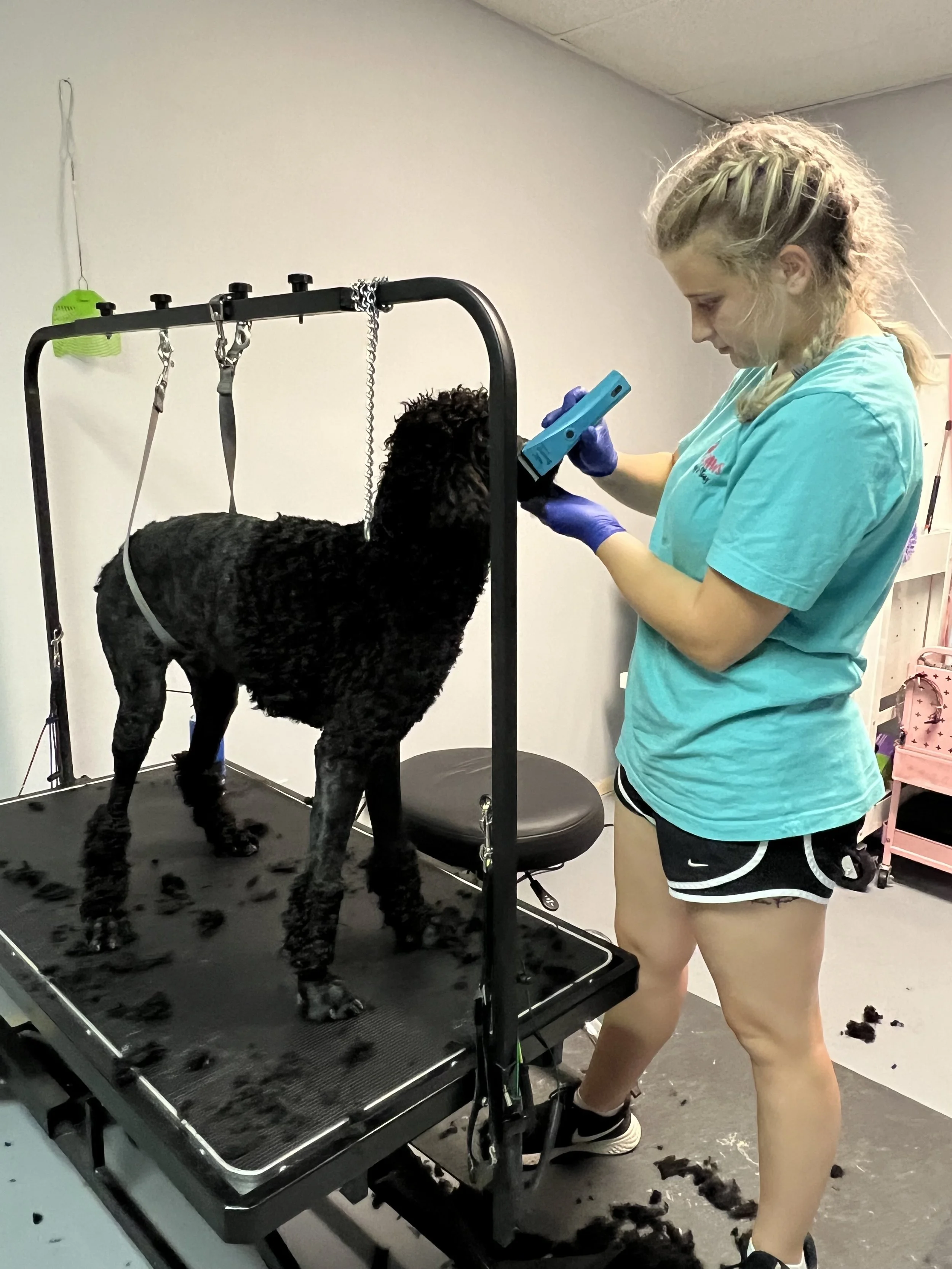 Pink Paws Spa — Pink Paws Play and Stay LLC