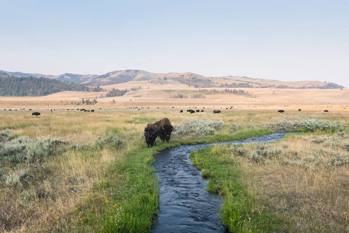 Contact 3 — Becker Lab