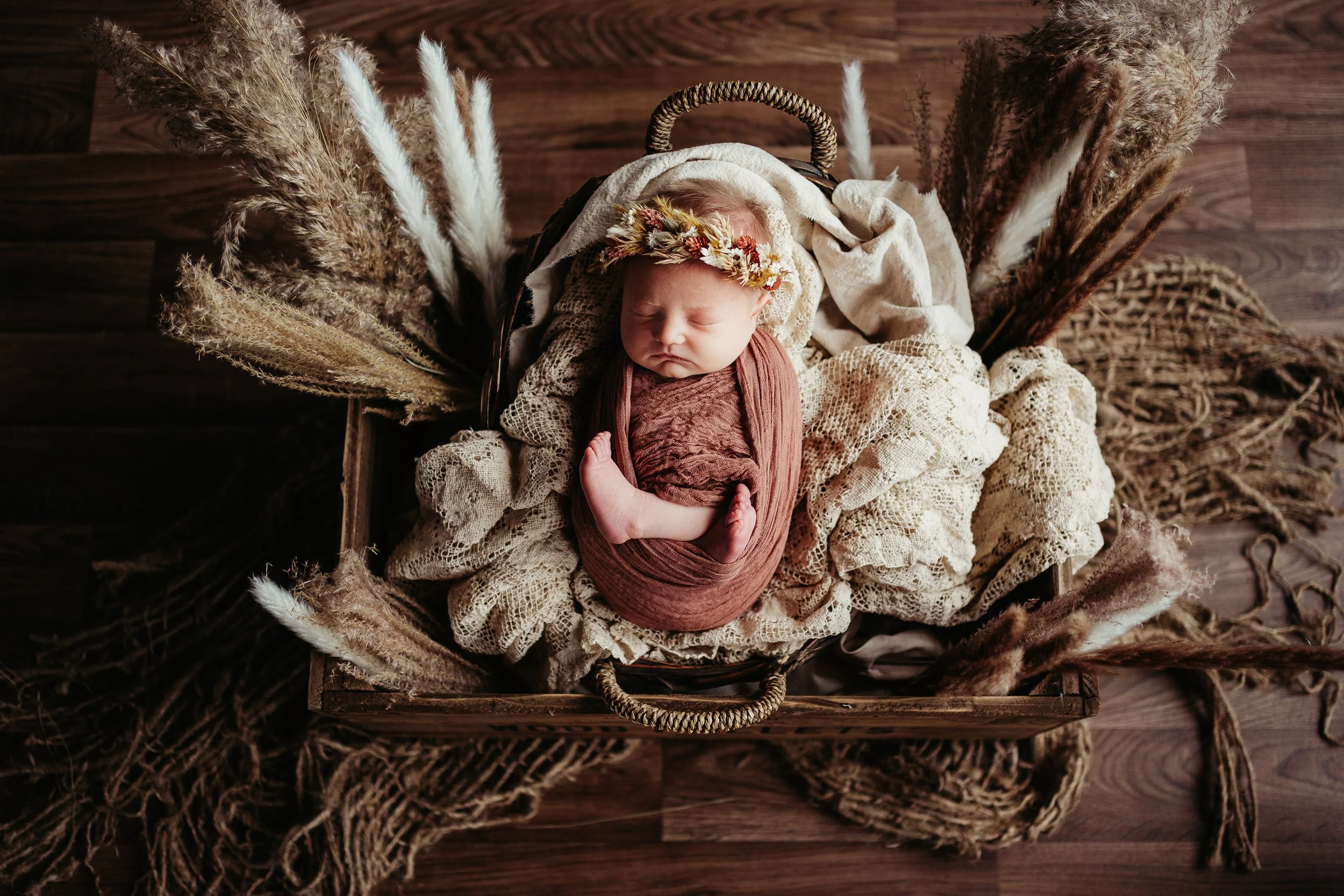 Denise Jambor Photography