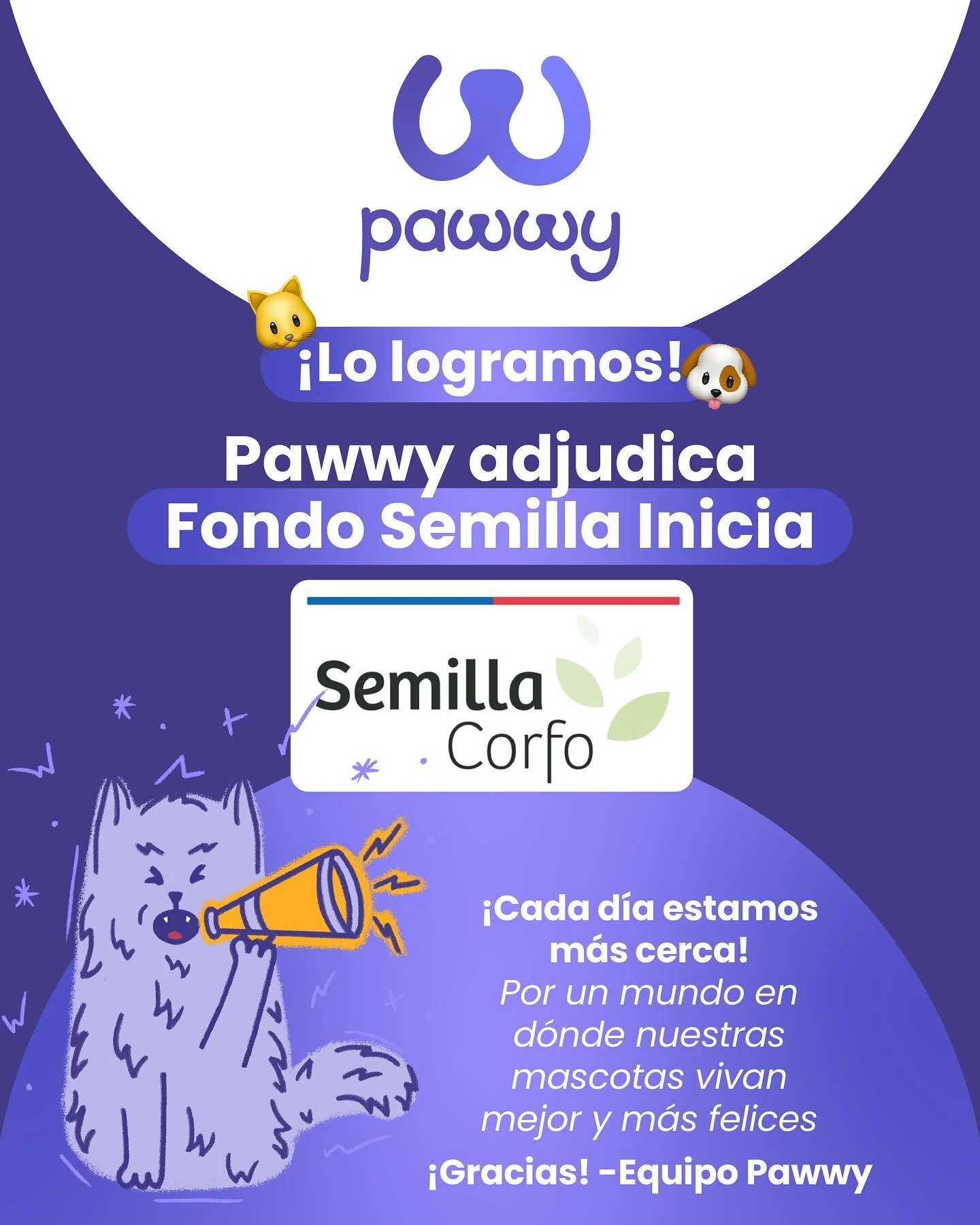Pawwy | Everything your pet needs in one App