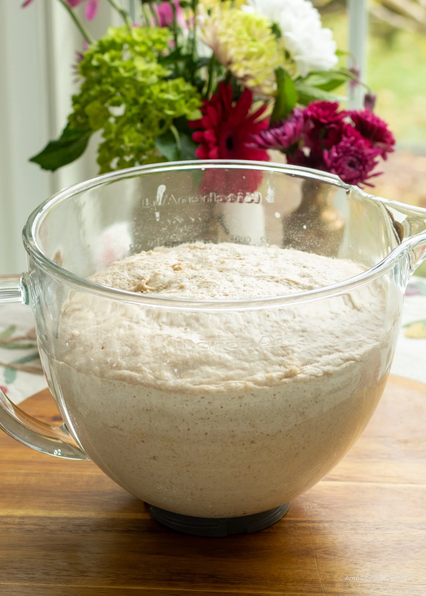 Habibi, What's Cooking? Classic Lebanese and Mediterranean Recipes