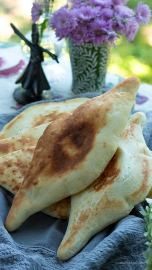 Habibi, What's Cooking? Classic Lebanese and Mediterranean Recipes