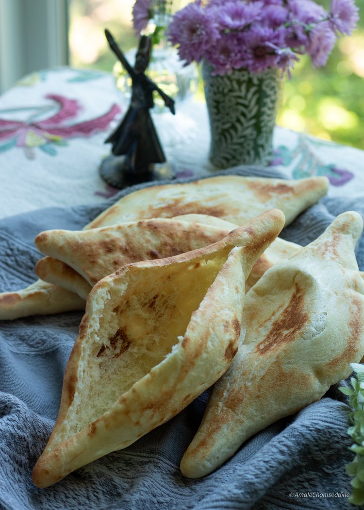 Habibi, What's Cooking? Classic Lebanese and Mediterranean Recipes