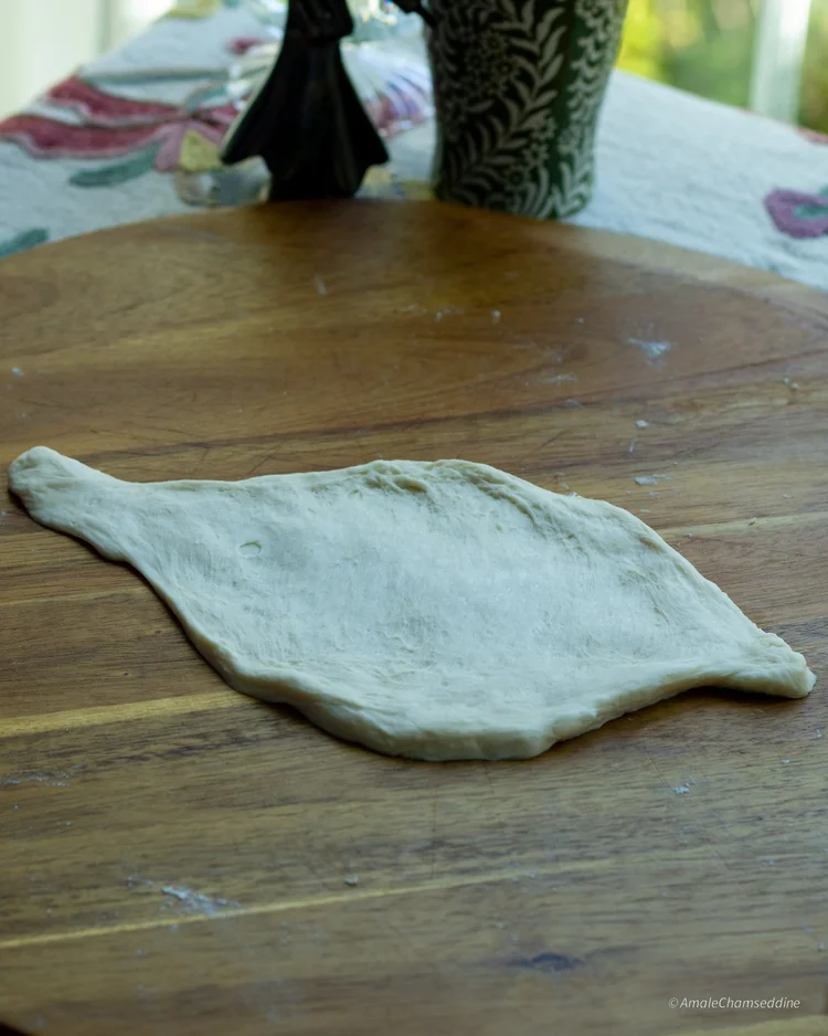 Habibi, What's Cooking? Classic Lebanese and Mediterranean Recipes