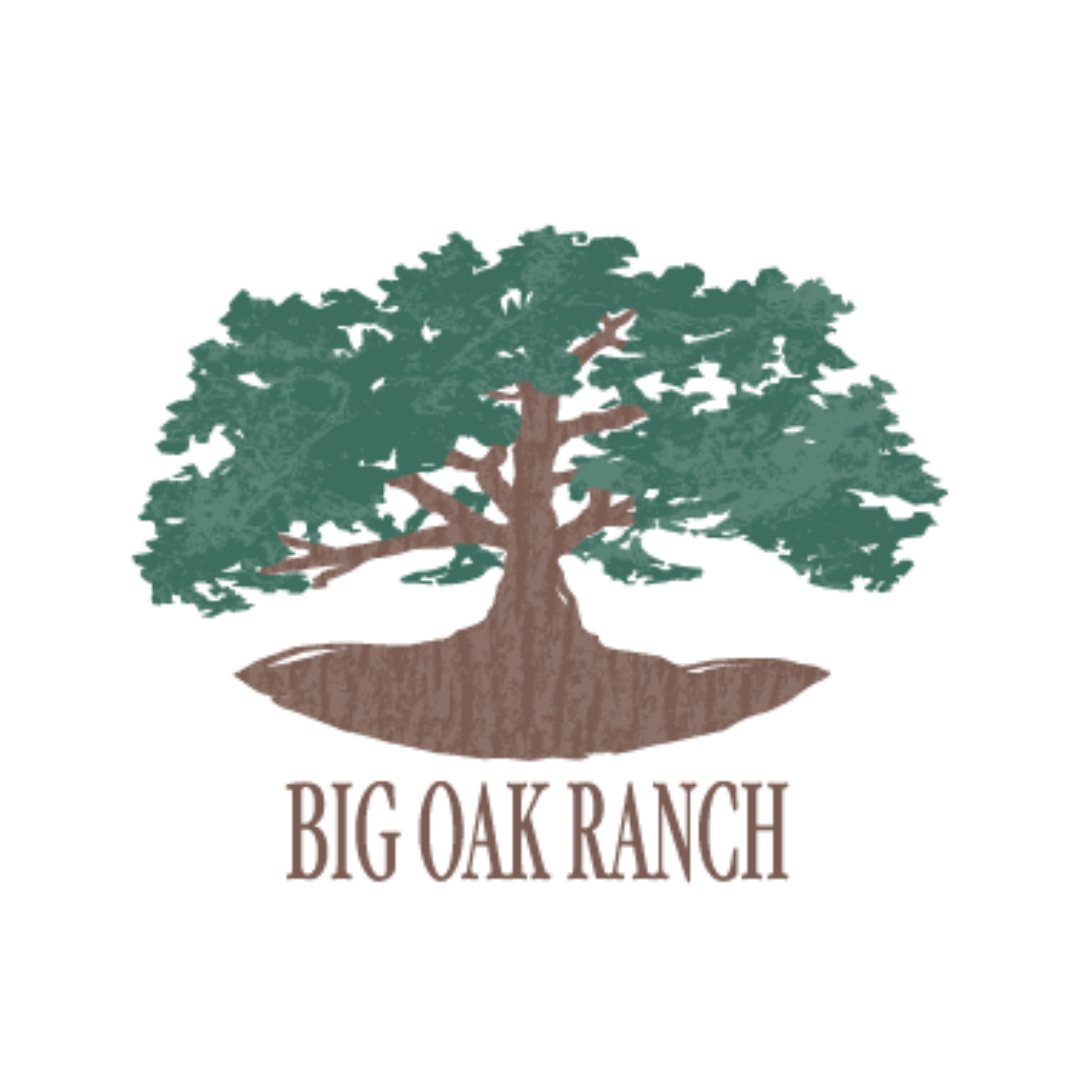 Alabama Charity Auctioneer - C King Benefit Auctions