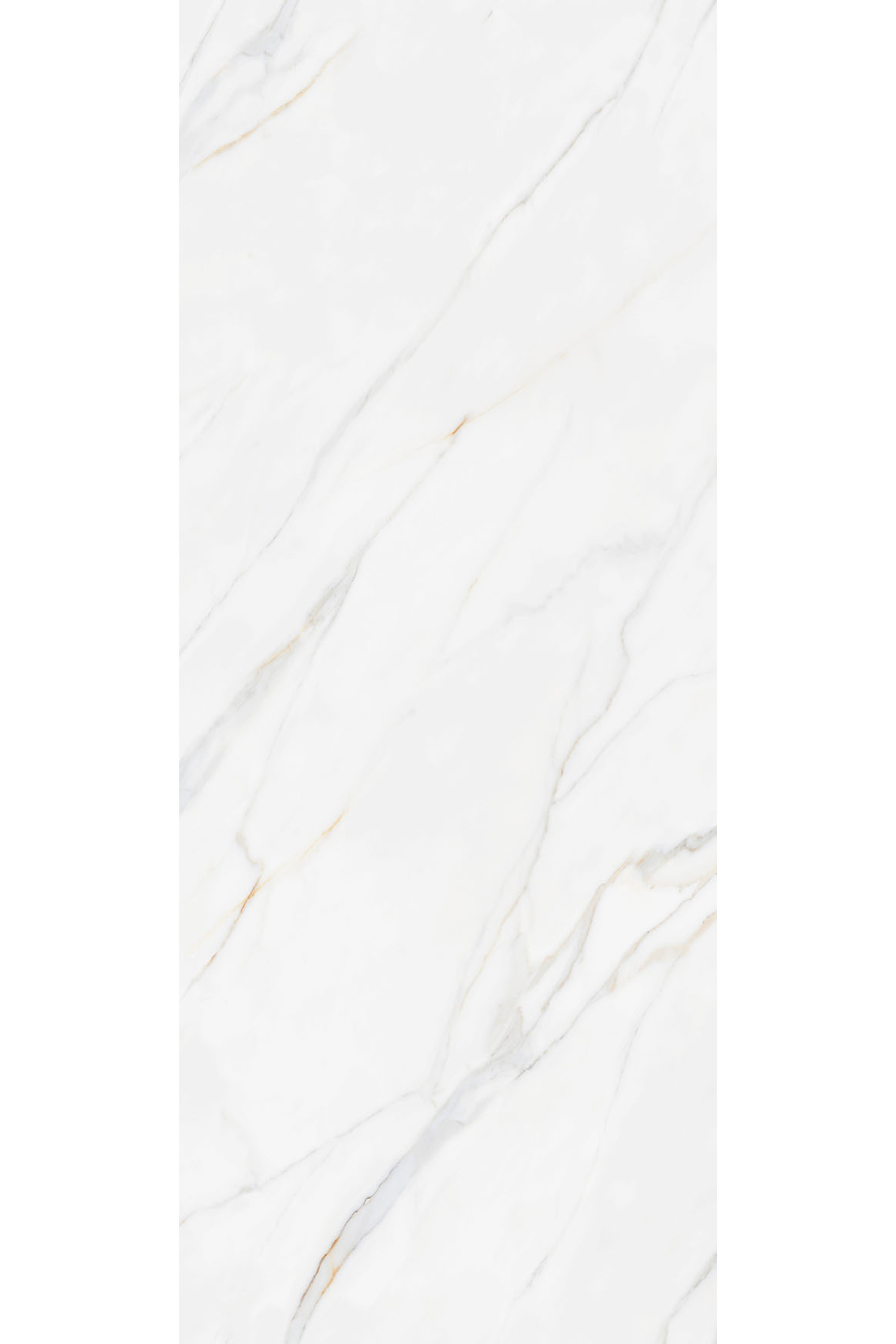 Karami White Porcelain Slab 4x10 — CIERO