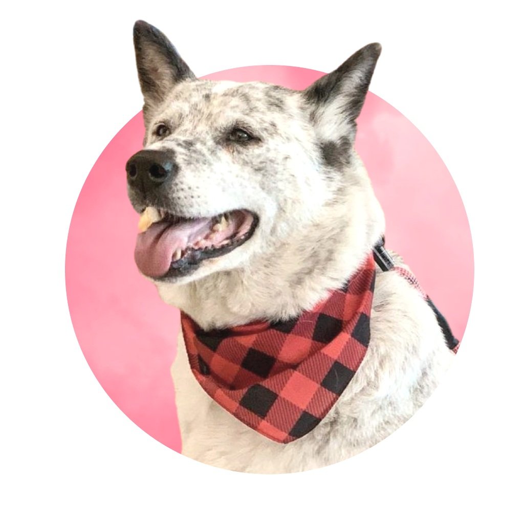 About — Liwanag Candle Co.