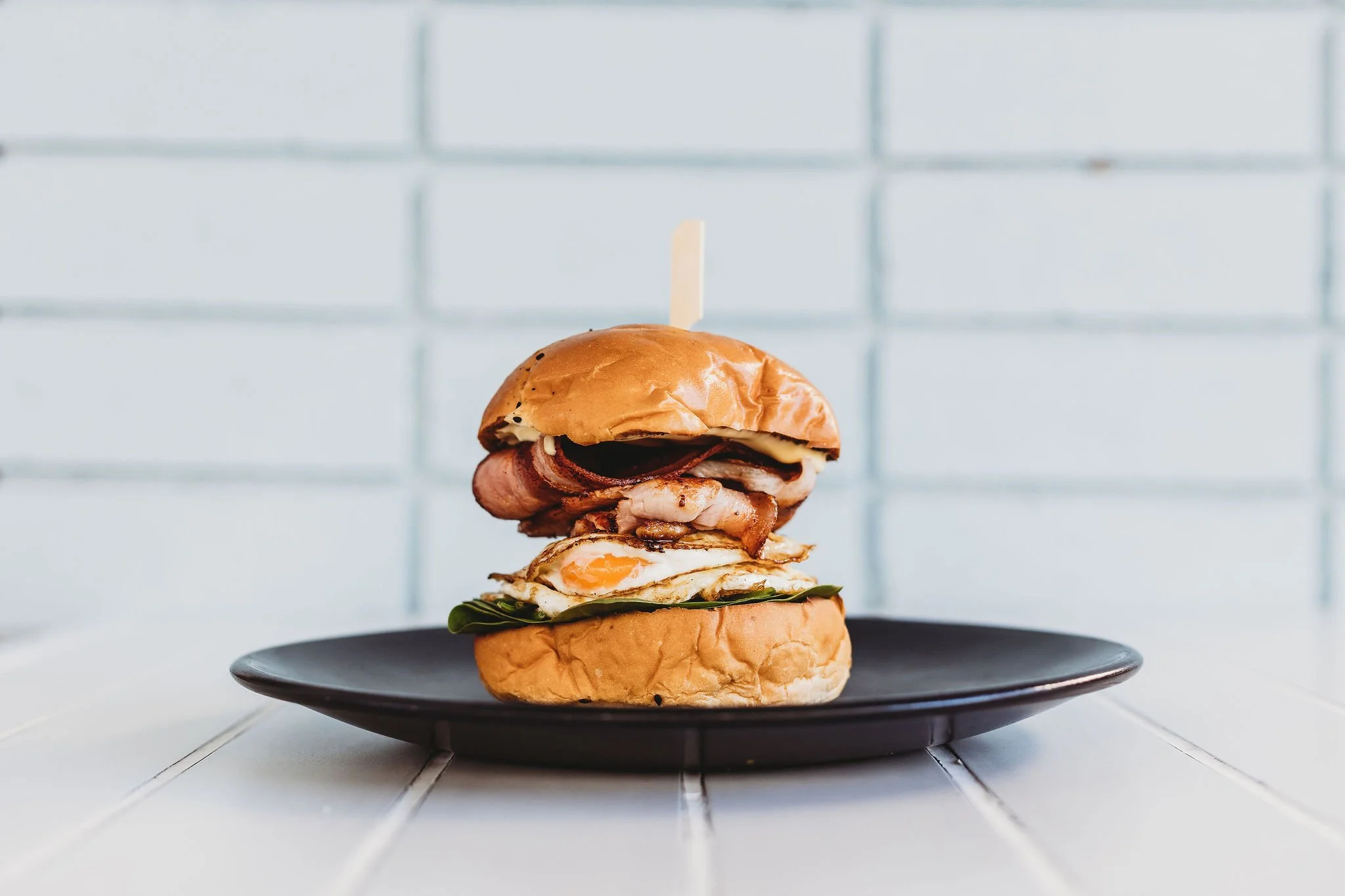 Photos — LITTLE OINK