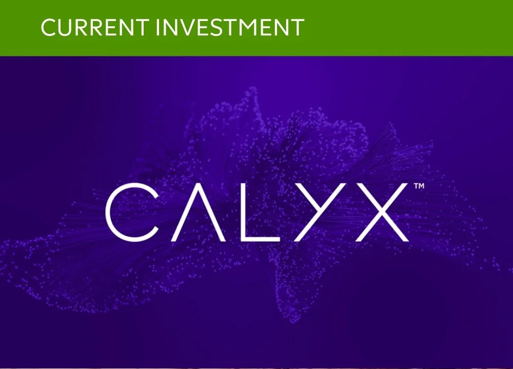 All investments — CapVest