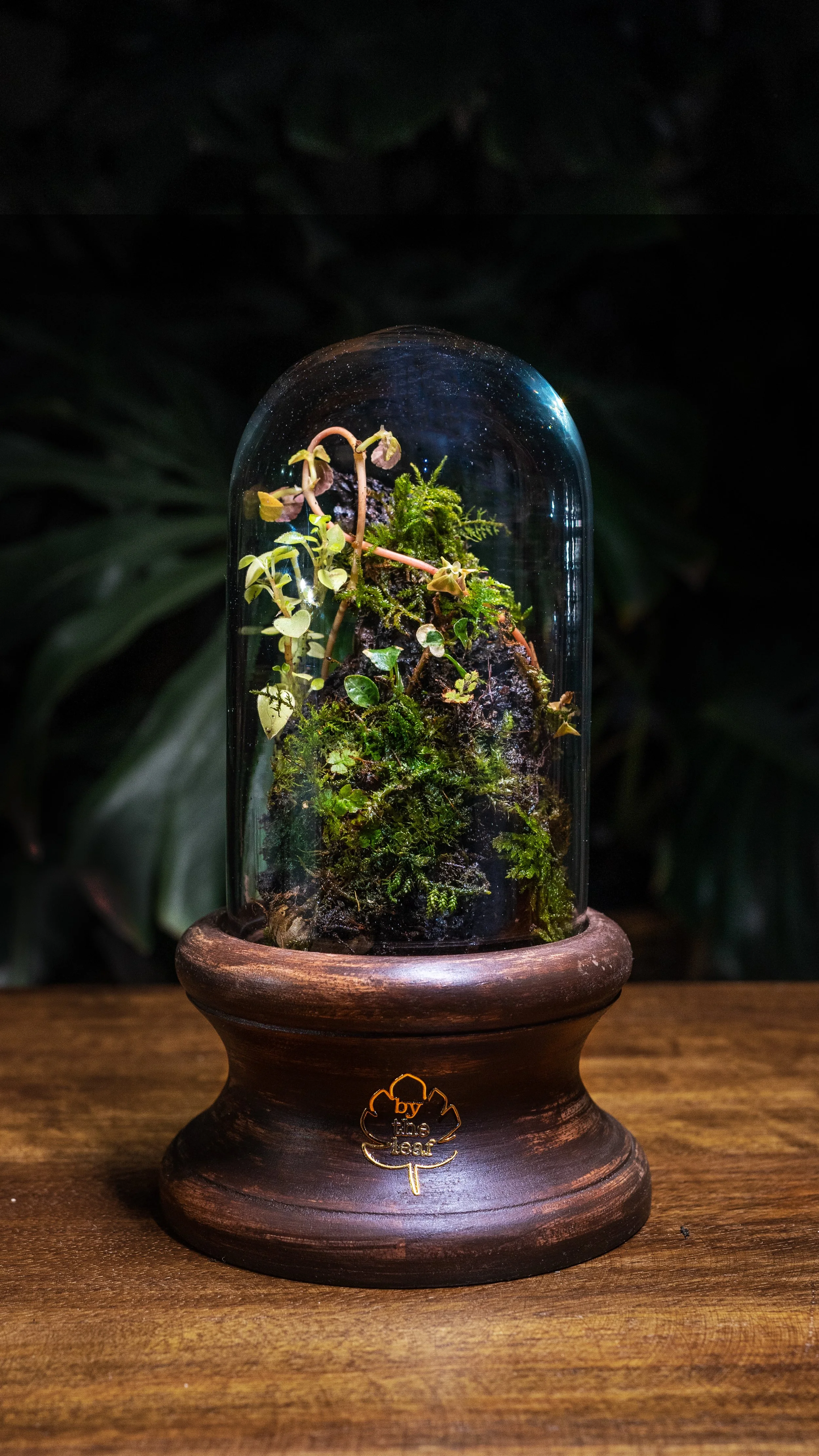 ByTheLeaf- Terrariums & Landscaping