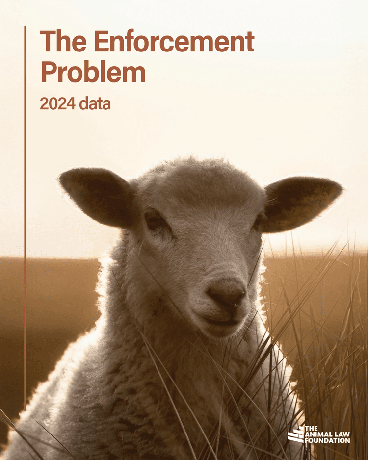 The Enforcement Problem — Animal Law Foundation