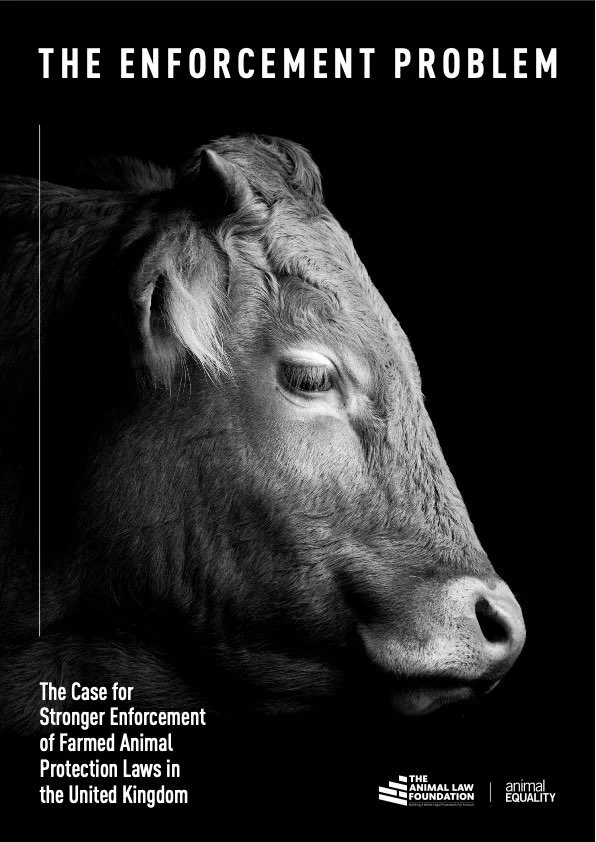 Reports | Discover insights - Take Action Today — Animal Law Foundation