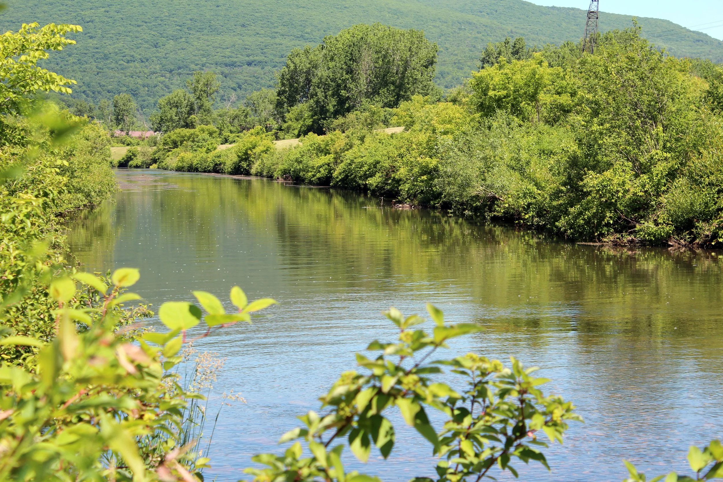 About — Hoosic River Revival