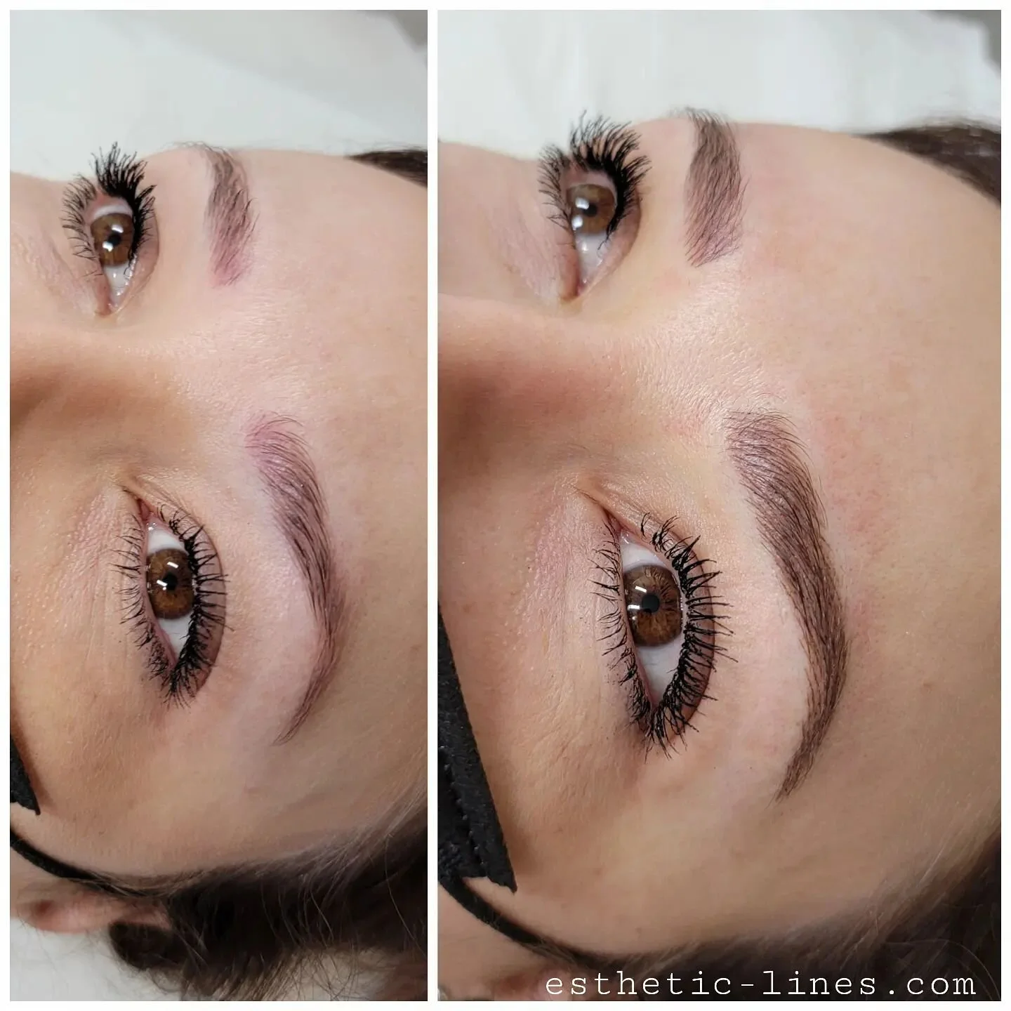 Permanent Makeup for Eyebrows and Lip Blushing Gallery — Esthetic-Lines ...
