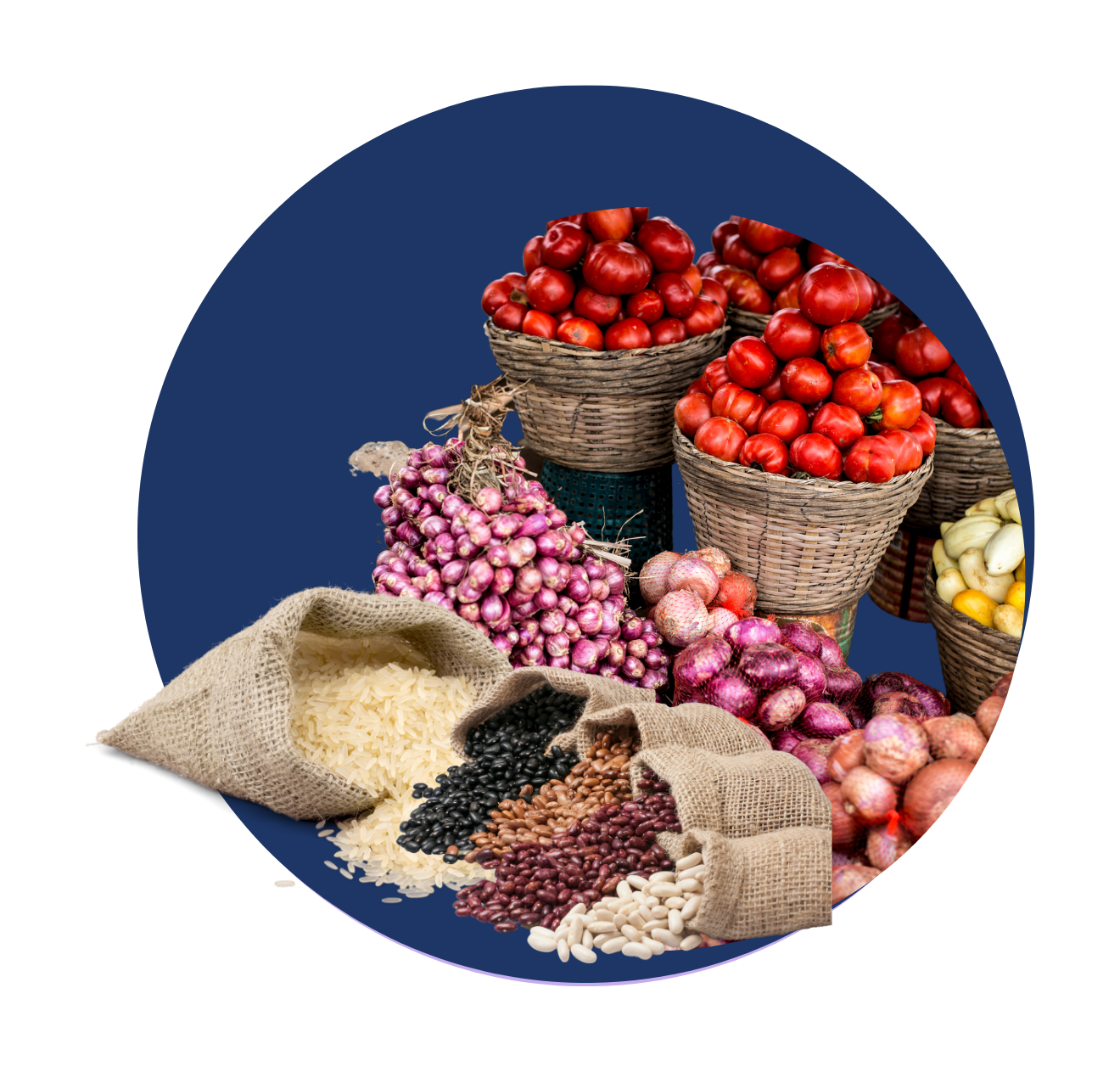 Our Work — Tabitha Empowerment Foundation